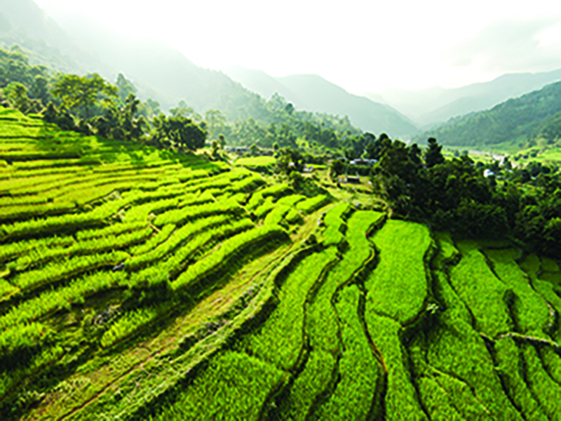 Aerial-View-Surroundings | Liv